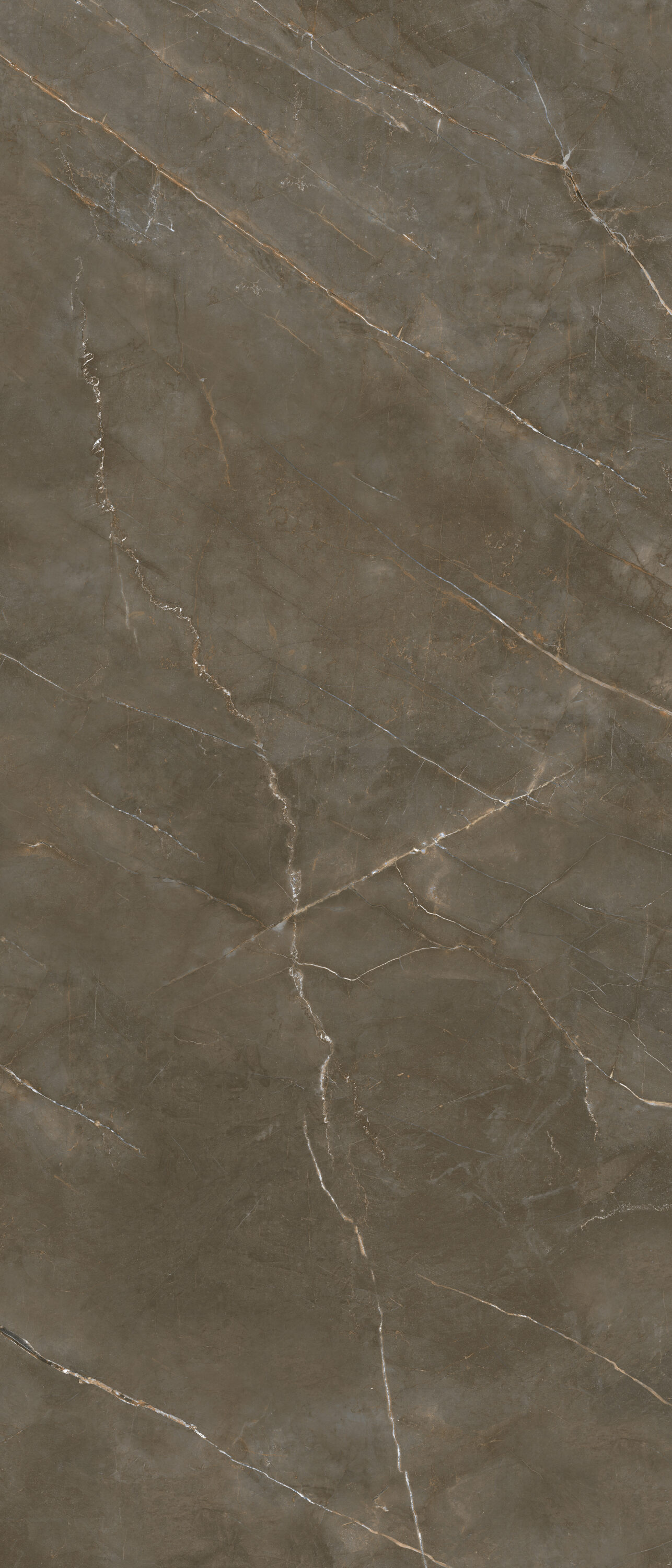 Crotone Pulpis - Ascale