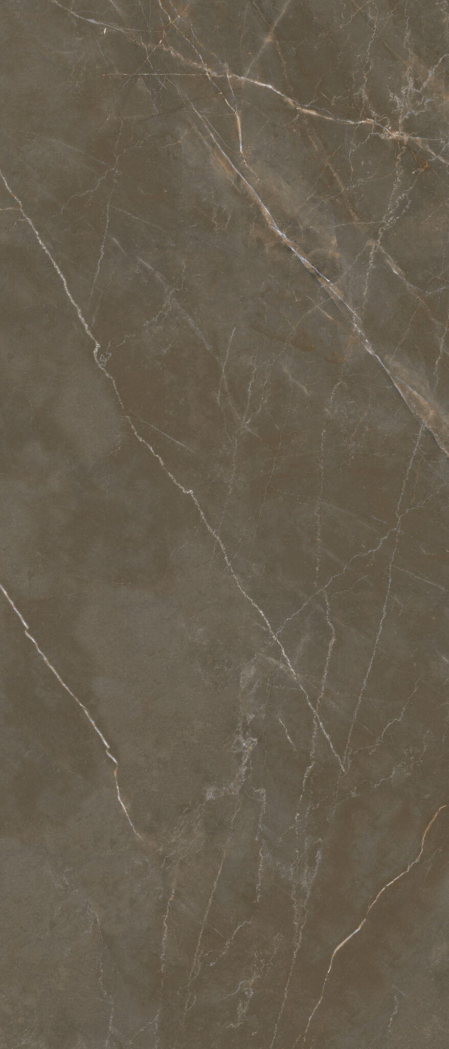 Crotone Pulpis - Ascale