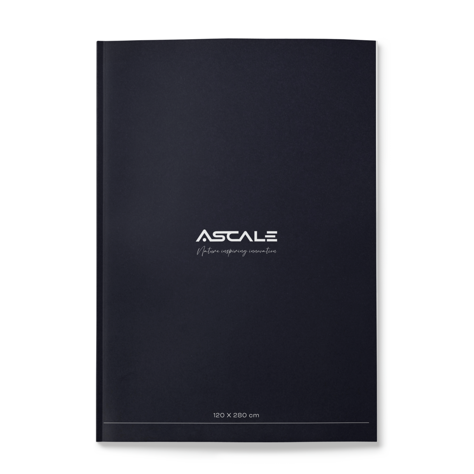 Descargas - Ascale