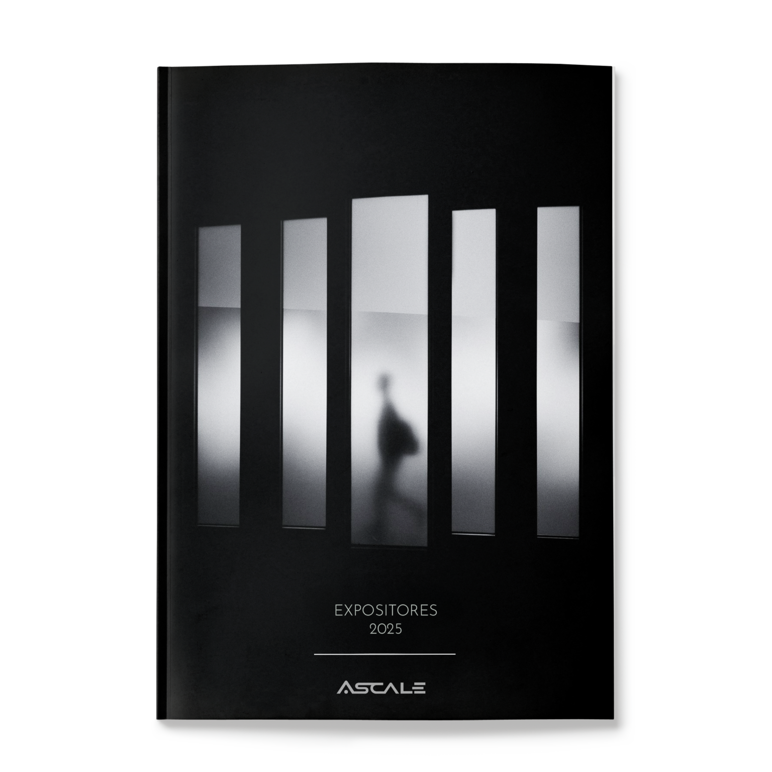 Catálogos y manuales - Ascale
